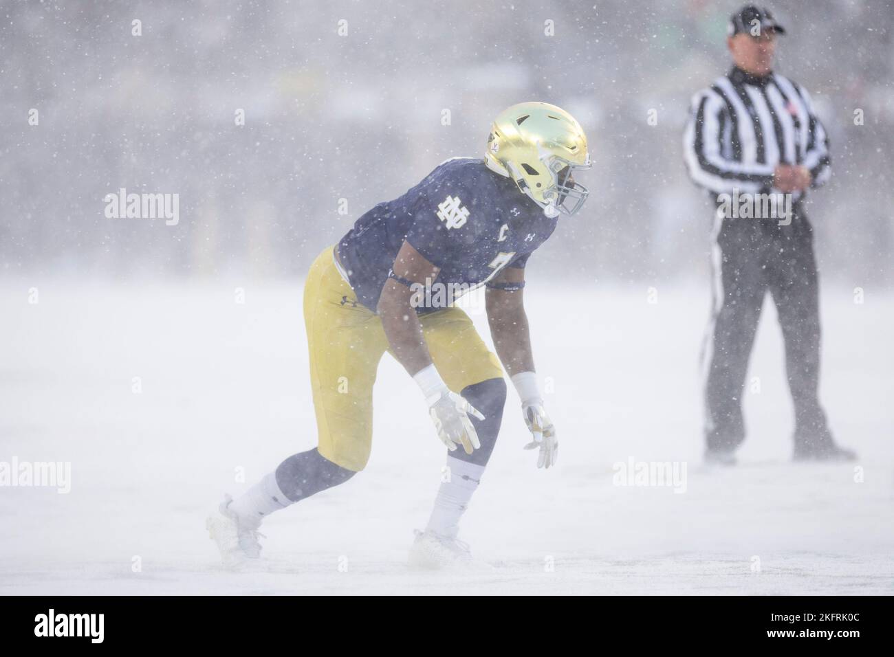 South Bend, Indiana, USA. 19th Nov, 2022. Notre Dame defensive lineman ...