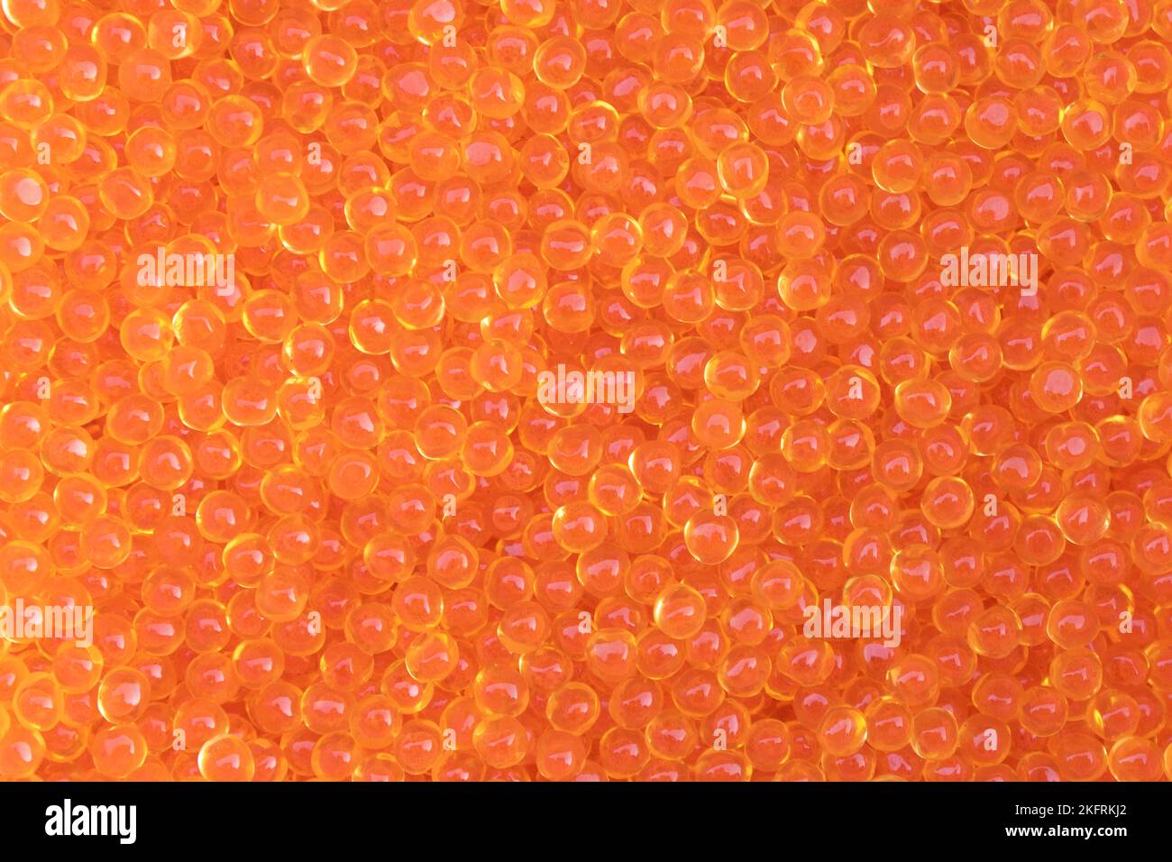 Background texture of salmon fish red caviar. Trout caviar texture ...