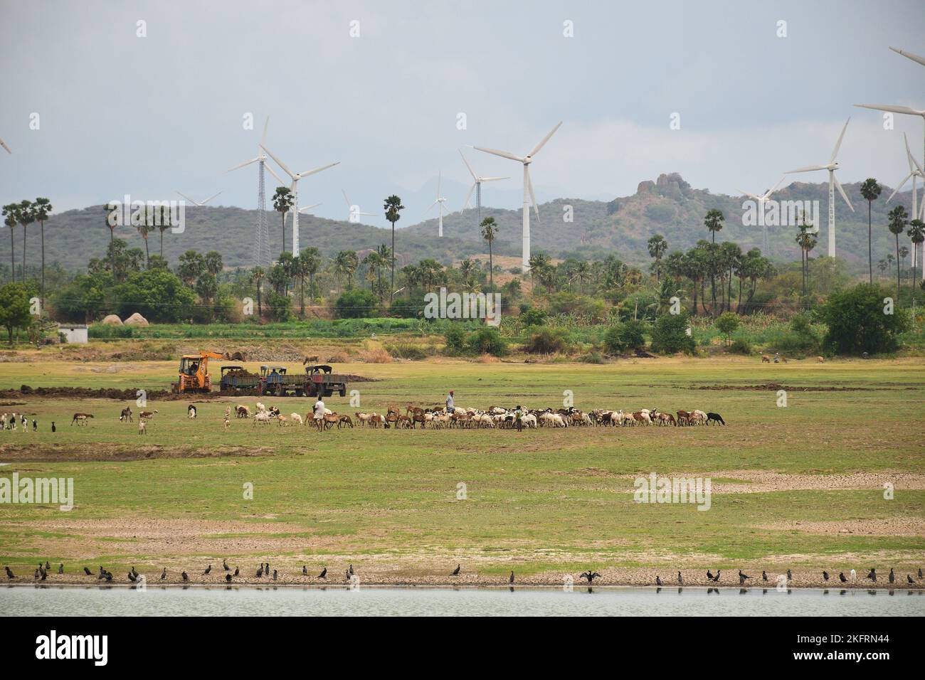 Wind mill and wind mill fields Stock Photo - Alamy