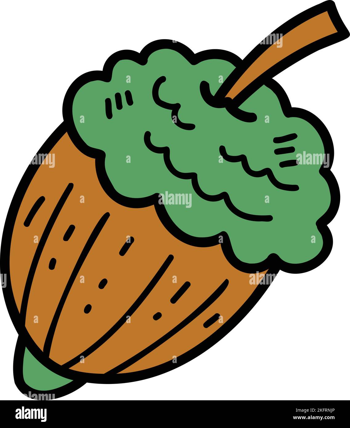 Hand Drawn acorn illustration isolated on background Stock Vector Image & Art - Alamy