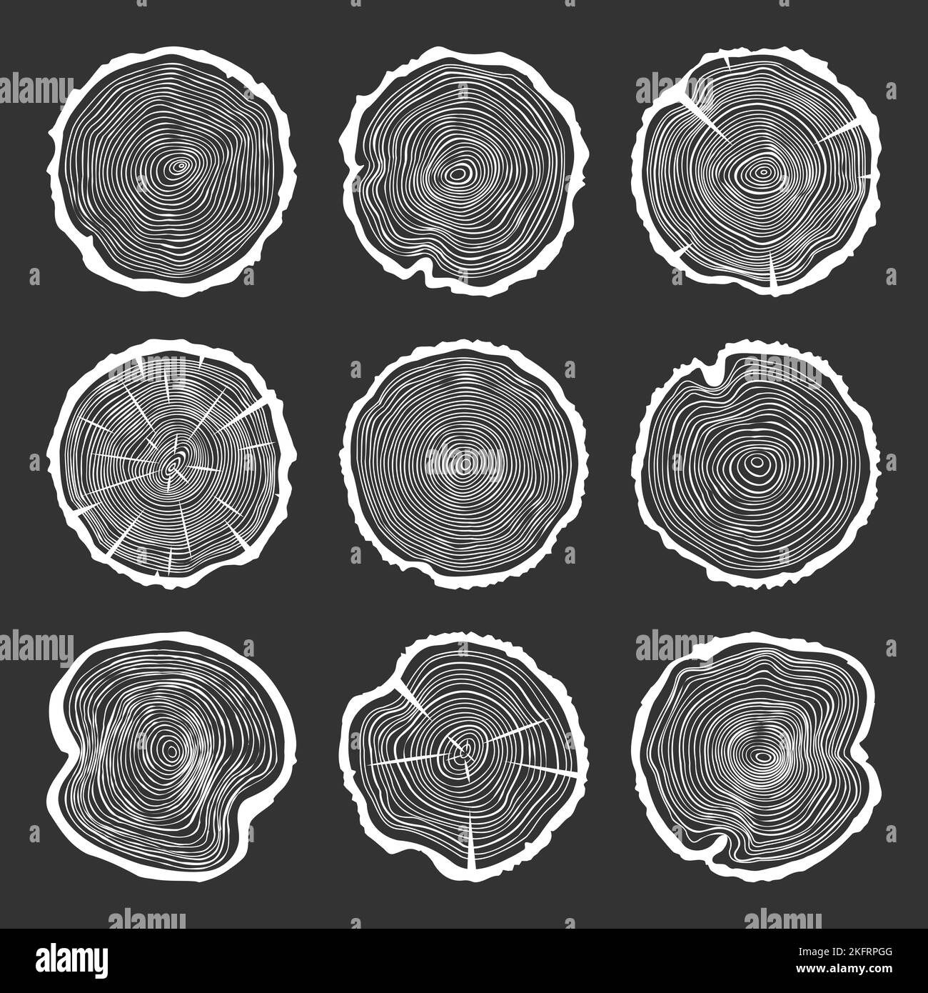 White round tree trunk cuts with cracks, sawn pine or oak slices ...