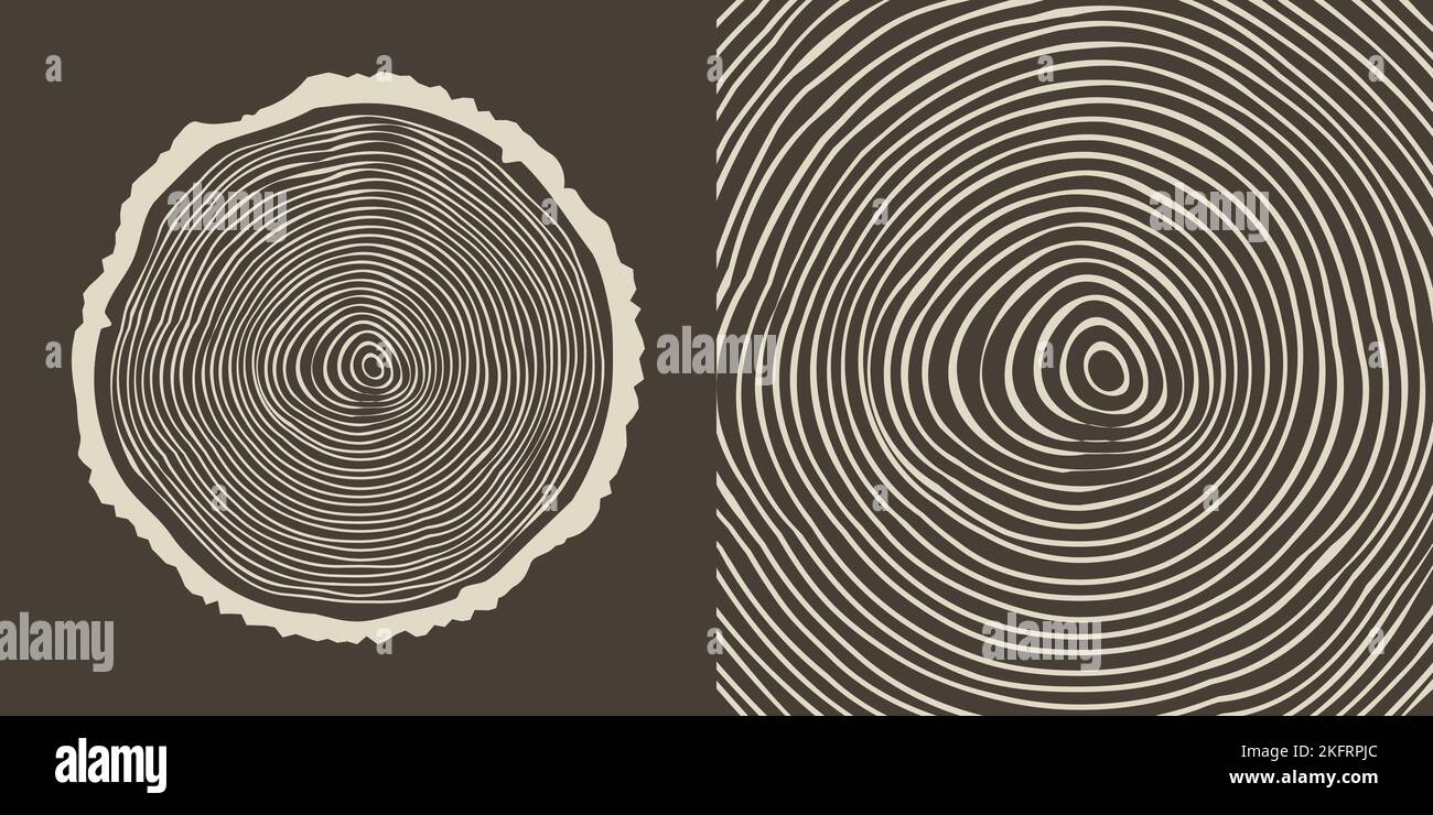 Round tree trunk cut, sawn pine or oak slice. Saw cut timber, wood ...