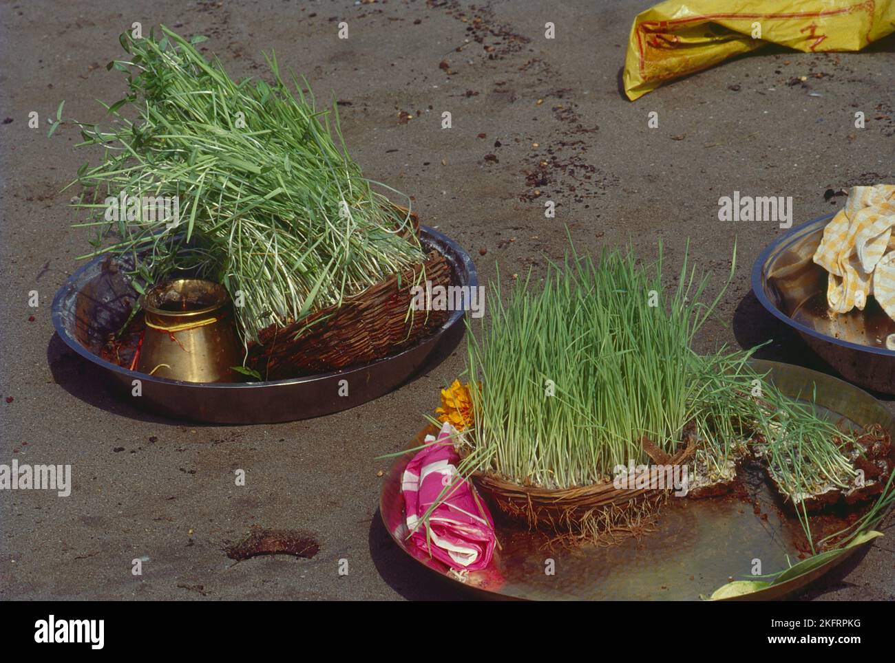 Durga festival Navaratri puja with seeds and sprouts Stock Photo - Alamy