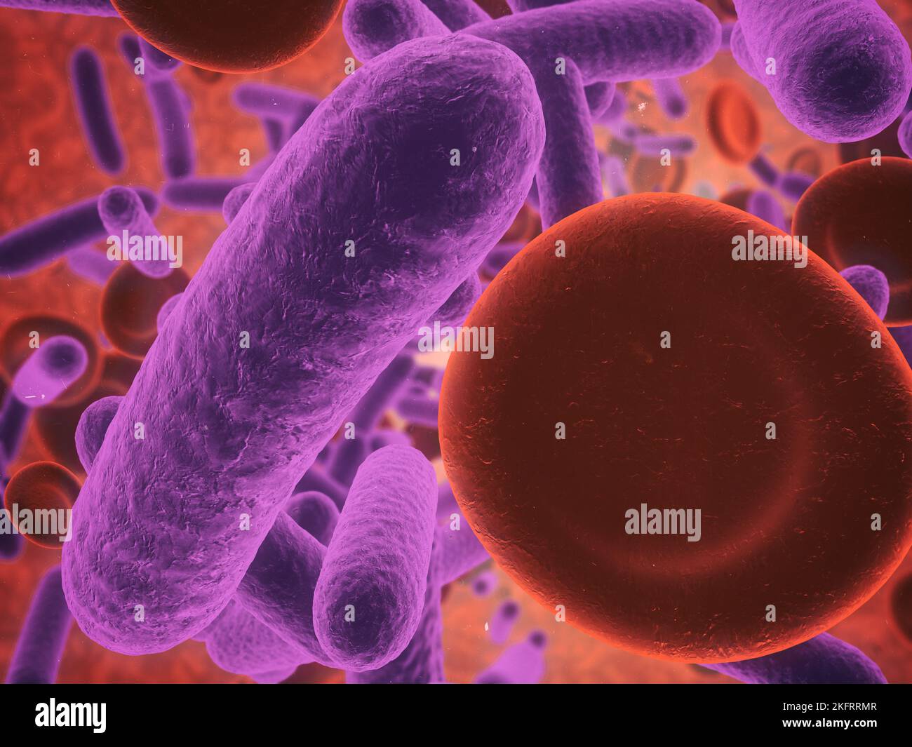 Healthy human cell microscopic hi-res stock photography and images - Alamy