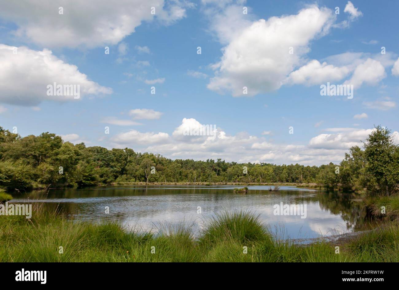 Dutch border hi-res stock photography and images - Alamy