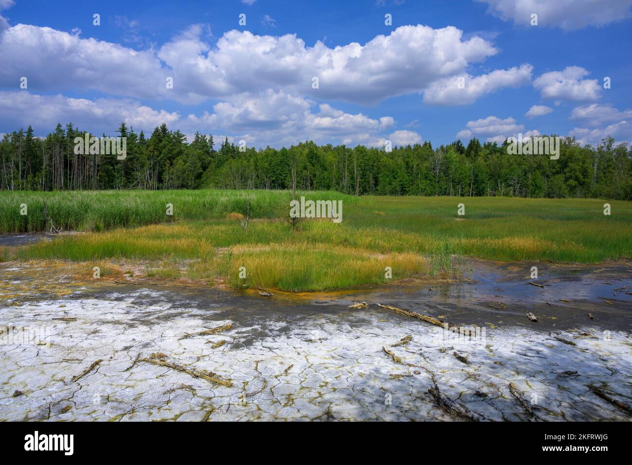 Soos Mineral Moor, Skalná, Karlovarský kraj, Czech Republic, Europe ...