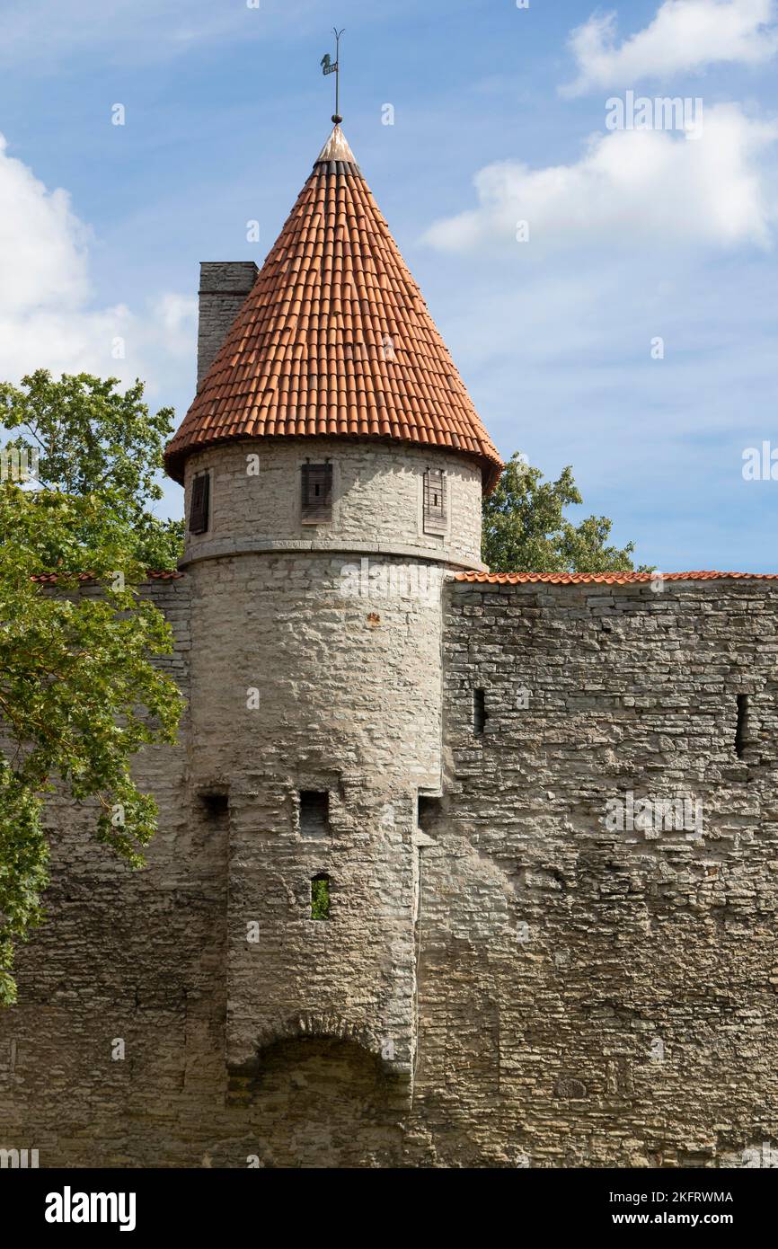 Tower of the historic city wall hi-res stock photography and images - Alamy