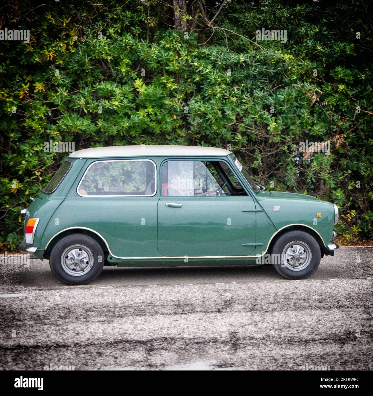 PESARO COLLE SAN BARTOLO , ITALY - OTT 12 - 2022: INNOCENTI MINI COOPER ...