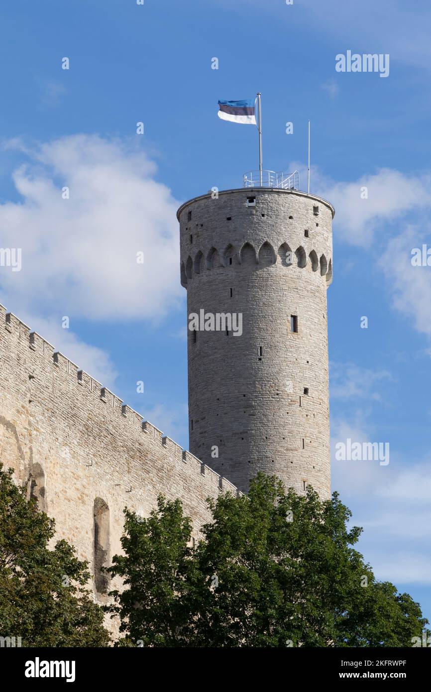 Estonian colors hi-res stock photography and images - Alamy