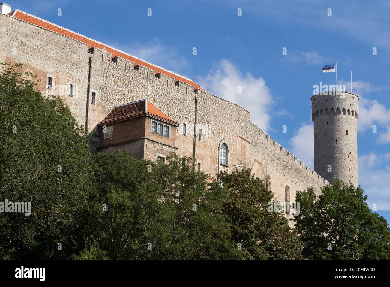 Long Hermann with Estonian national flag, fortified defence tower on ...