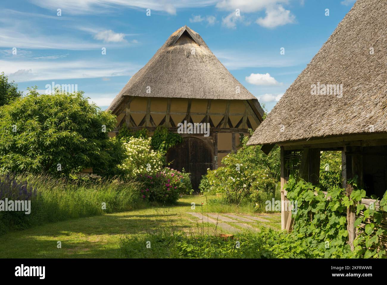 Thatched half-timbered house, Techin, Schaalsee, UNESCO Biosphere ...