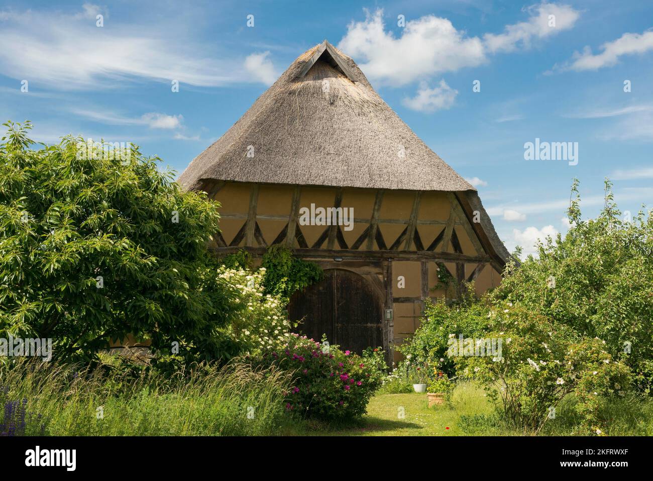 Thatched half-timbered house, Techin, Schaalsee, UNESCO Biosphere ...