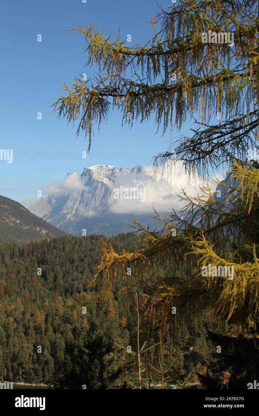 View of the Zugspitze massif in autumn, seen from the Fernpass, Tyrol ...