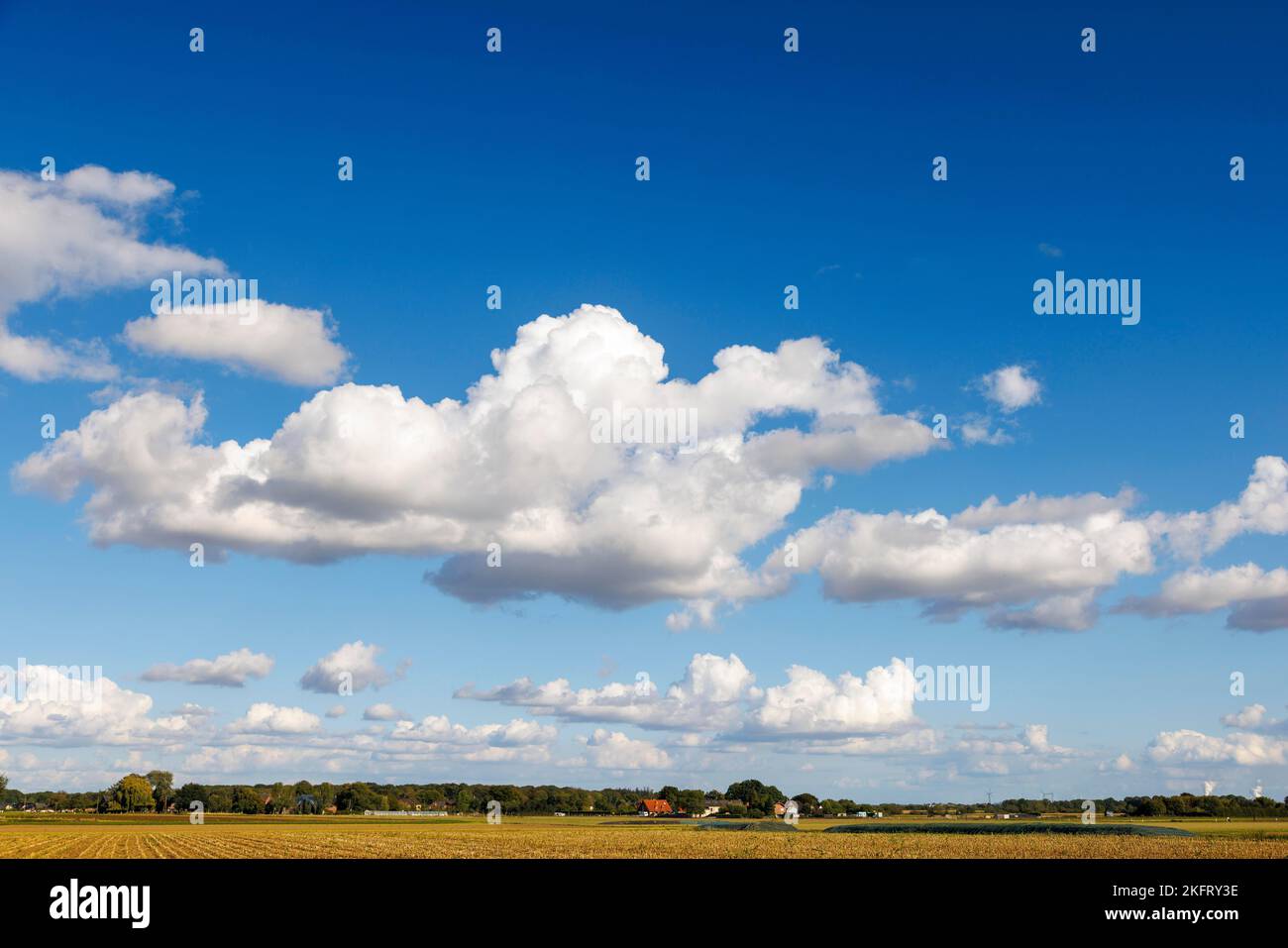 clouds (Cumulus), Germany, Europe Stock Photo - Alamy