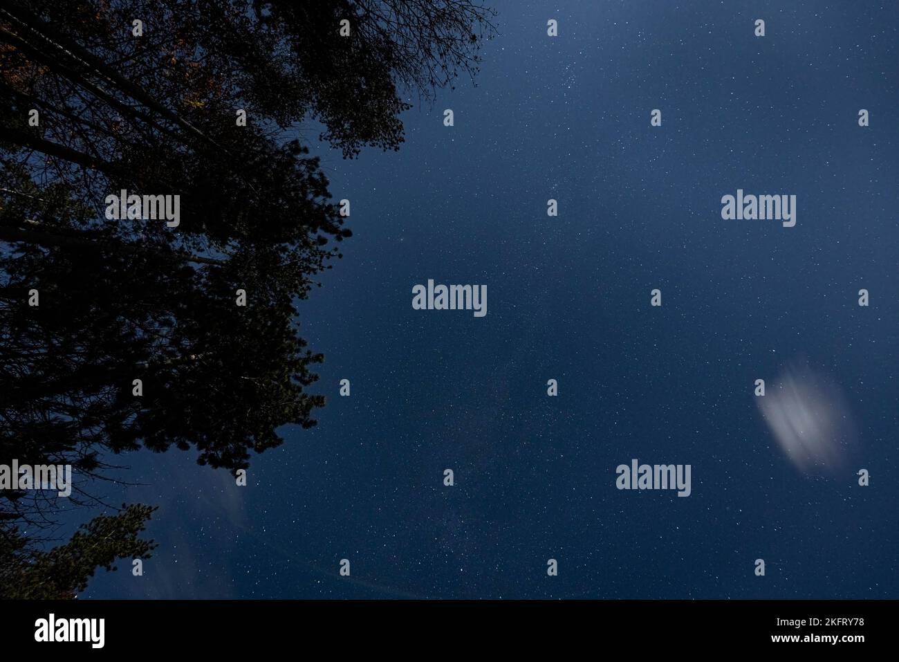 Starry sky with trees, Ternitz, Lower Austria, Austria, Europe Stock ...