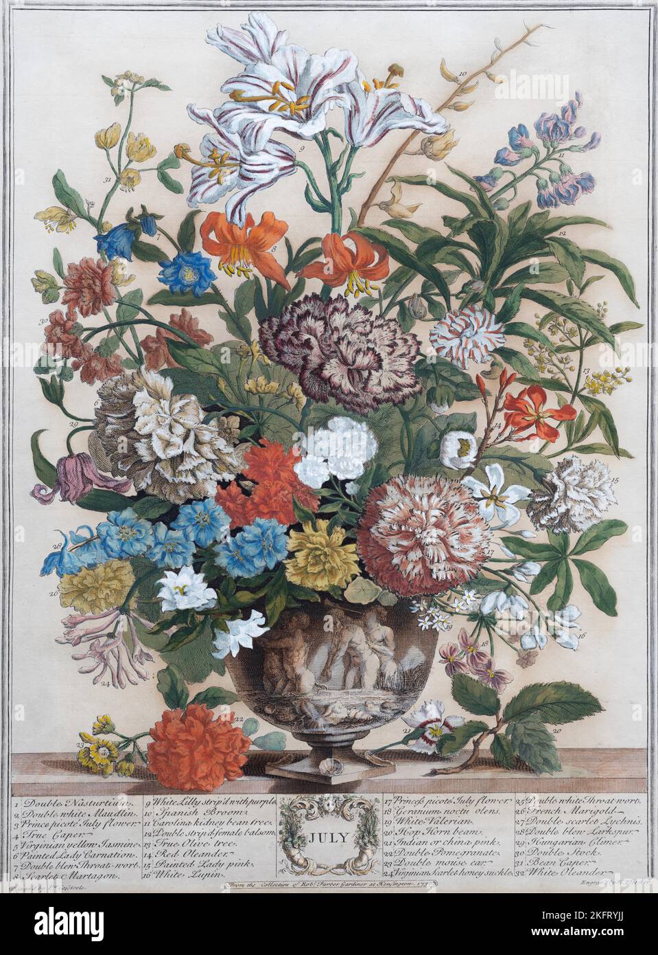 July, hand-coloured copperplate engraving from Twelve Months of Flowers ...