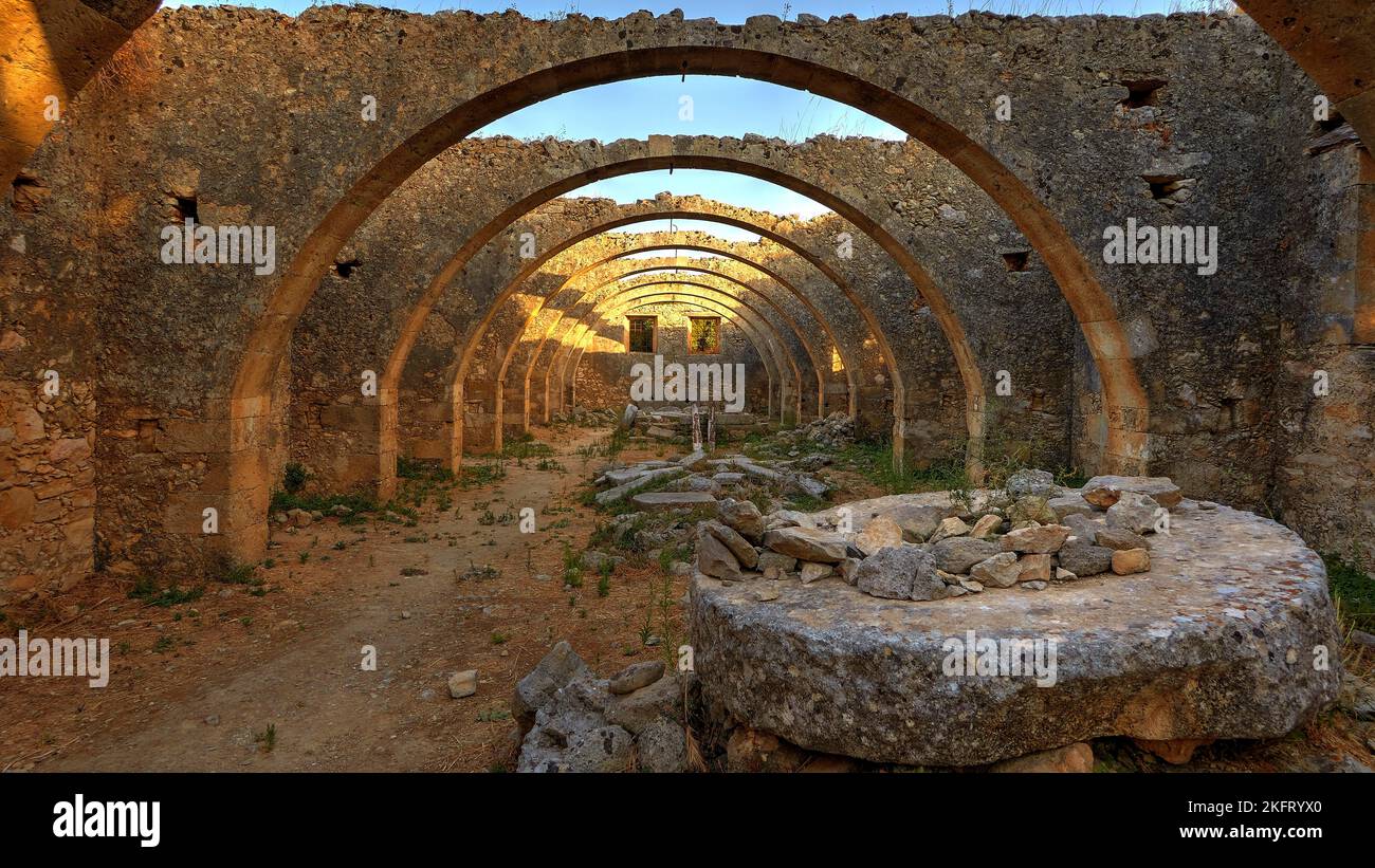 Olives (olivae), olive oil factory, olive oil mill, arched vault, old ...