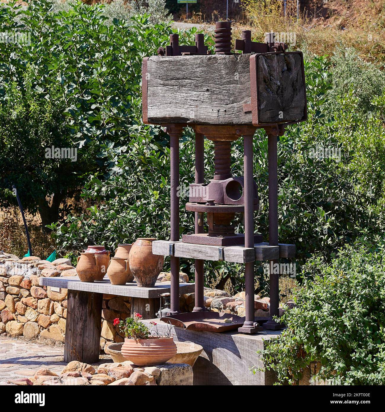 Olives (olivae), olive oil mill, olive museum, Vouves, West Crete ...