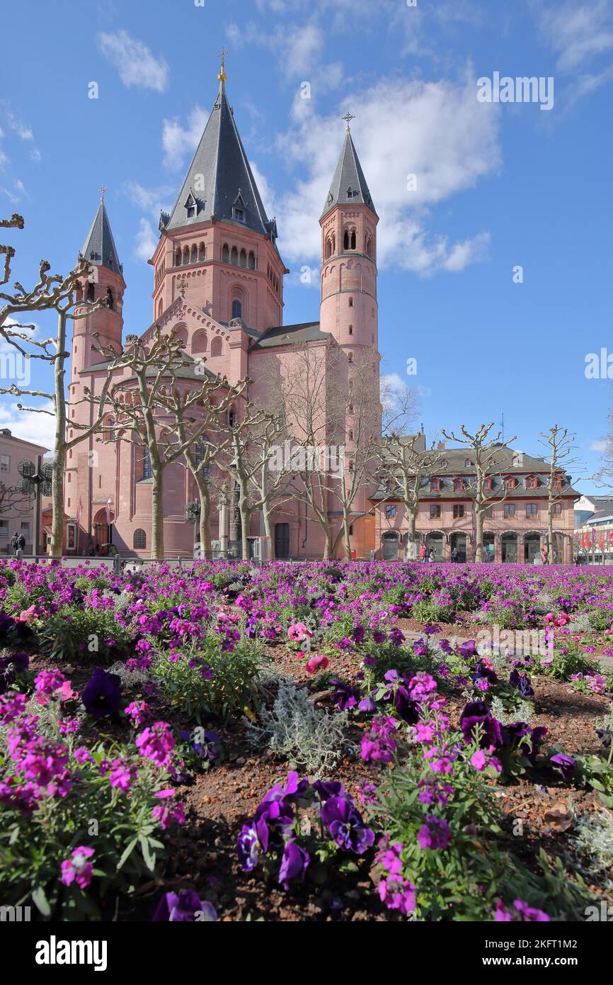 Romanesque High Cathedral St. Martin, Mainz Cathedral, Old Town, Mainz ...