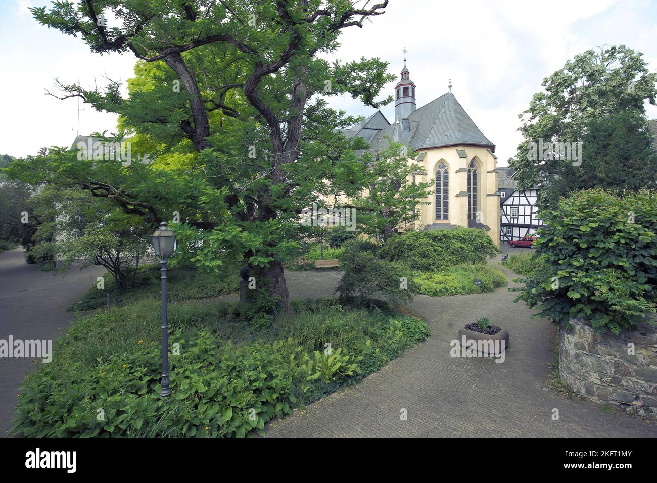 Schillerplatz with Gothic Franciscan church and oak tree, Wetzlar ...