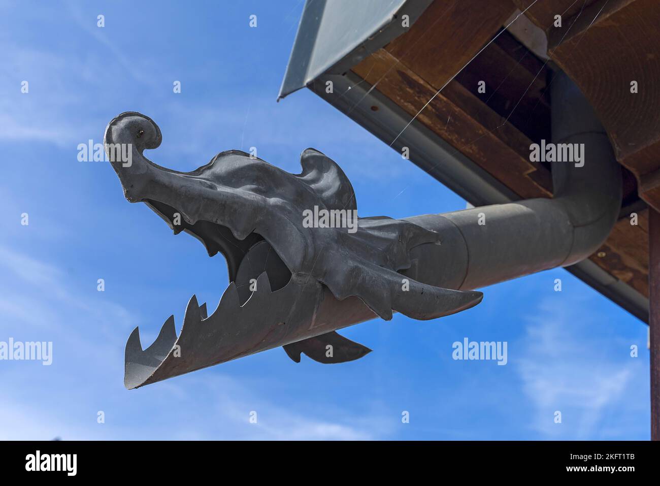 Dragon head as gargoyle, Bavaria, Germany, Europe Stock Photo - Alamy