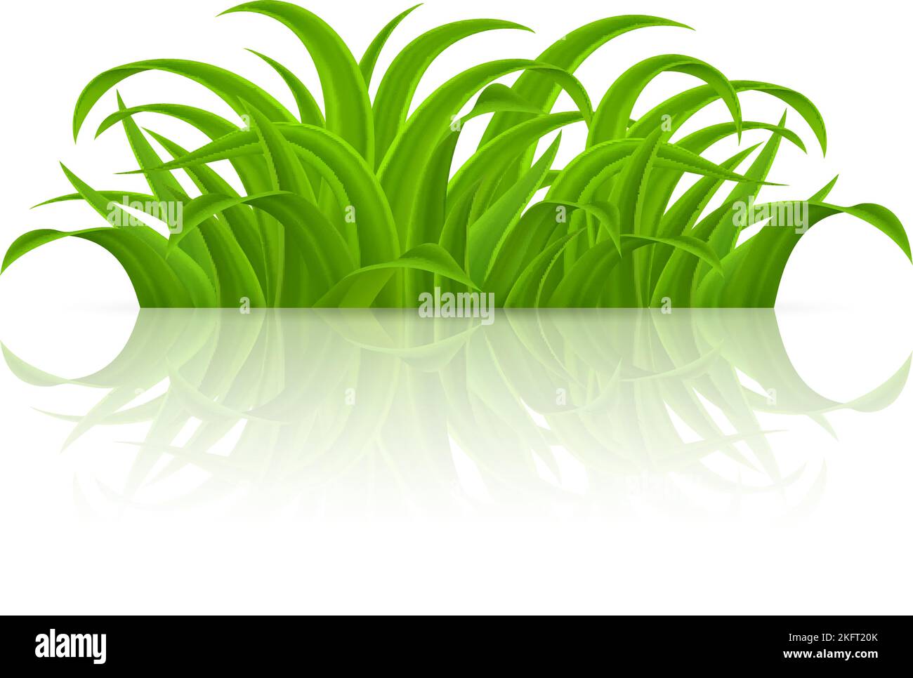 Green grass Elements for Spring or Nature Design. Illustration on White Background Stock Vector ...
