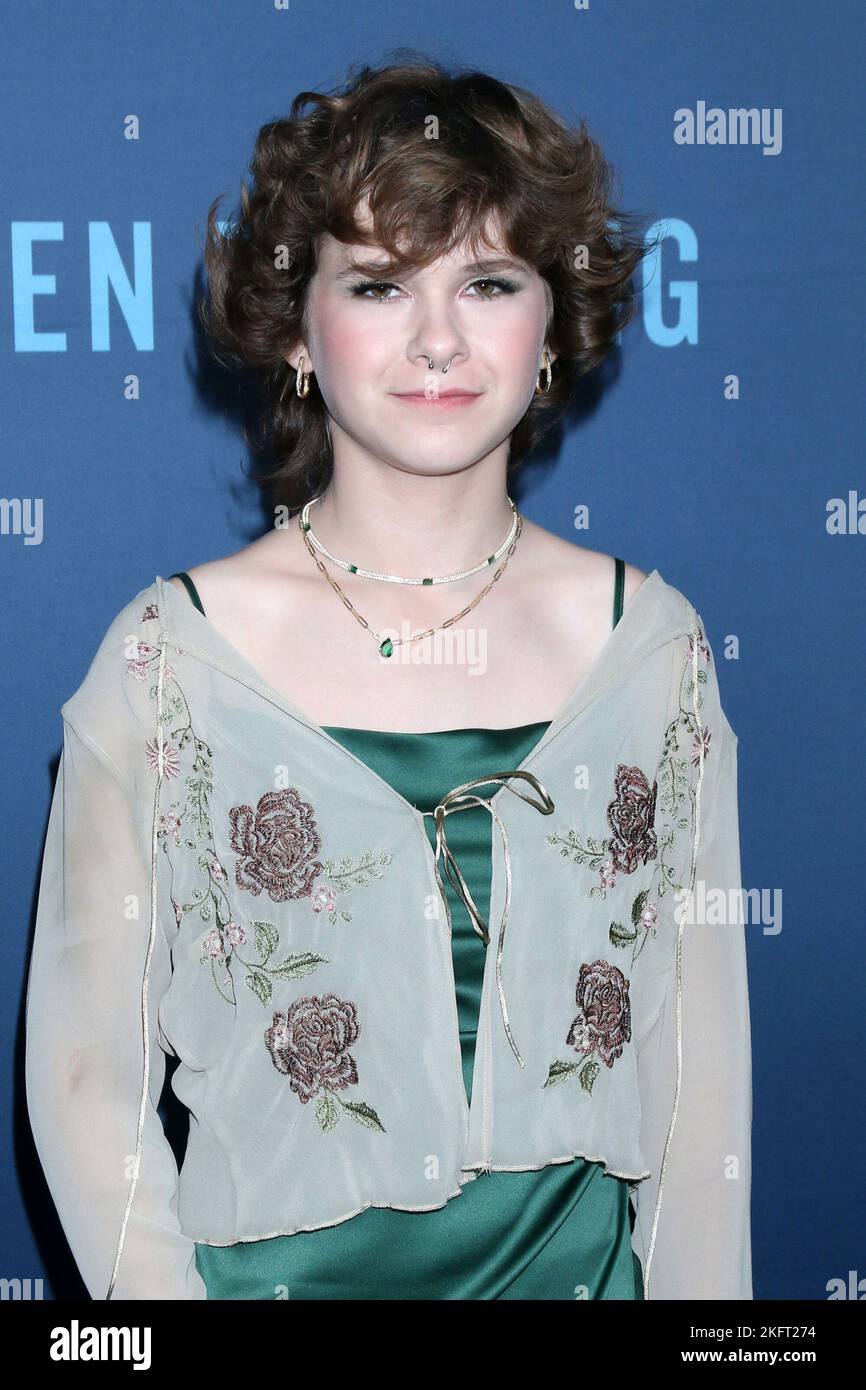 LOS ANGELES - NOV 17: Liv McNeil at the Women Talking Premiere at ...