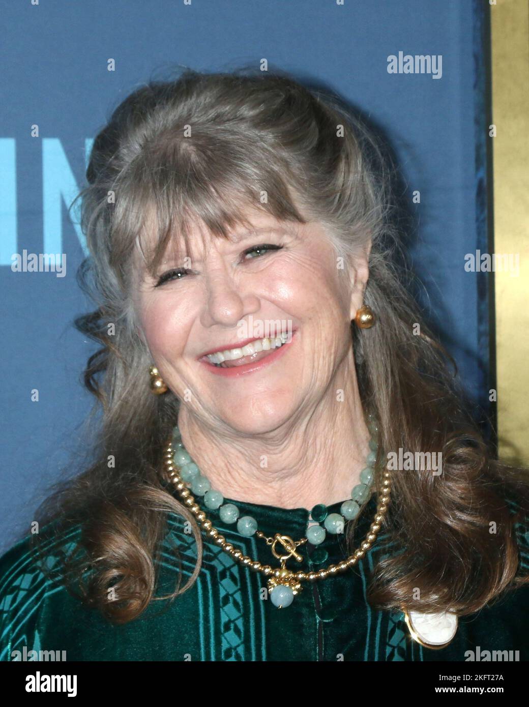LOS ANGELES - NOV 17: Judith Ivewy at the Women Talking Premiere at ...