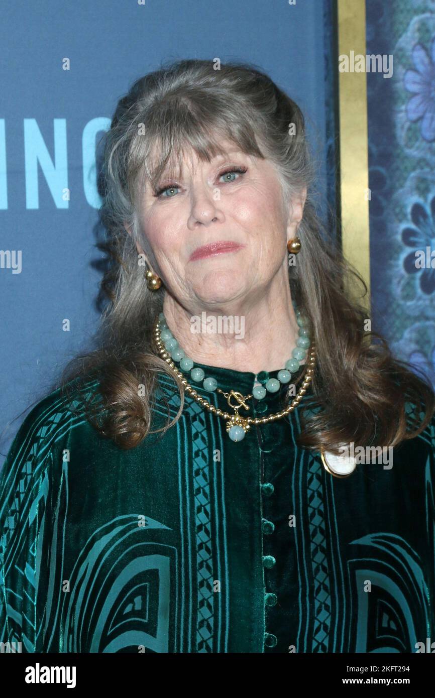 LOS ANGELES - NOV 17: Judith Ivewy at the Women Talking Premiere at ...