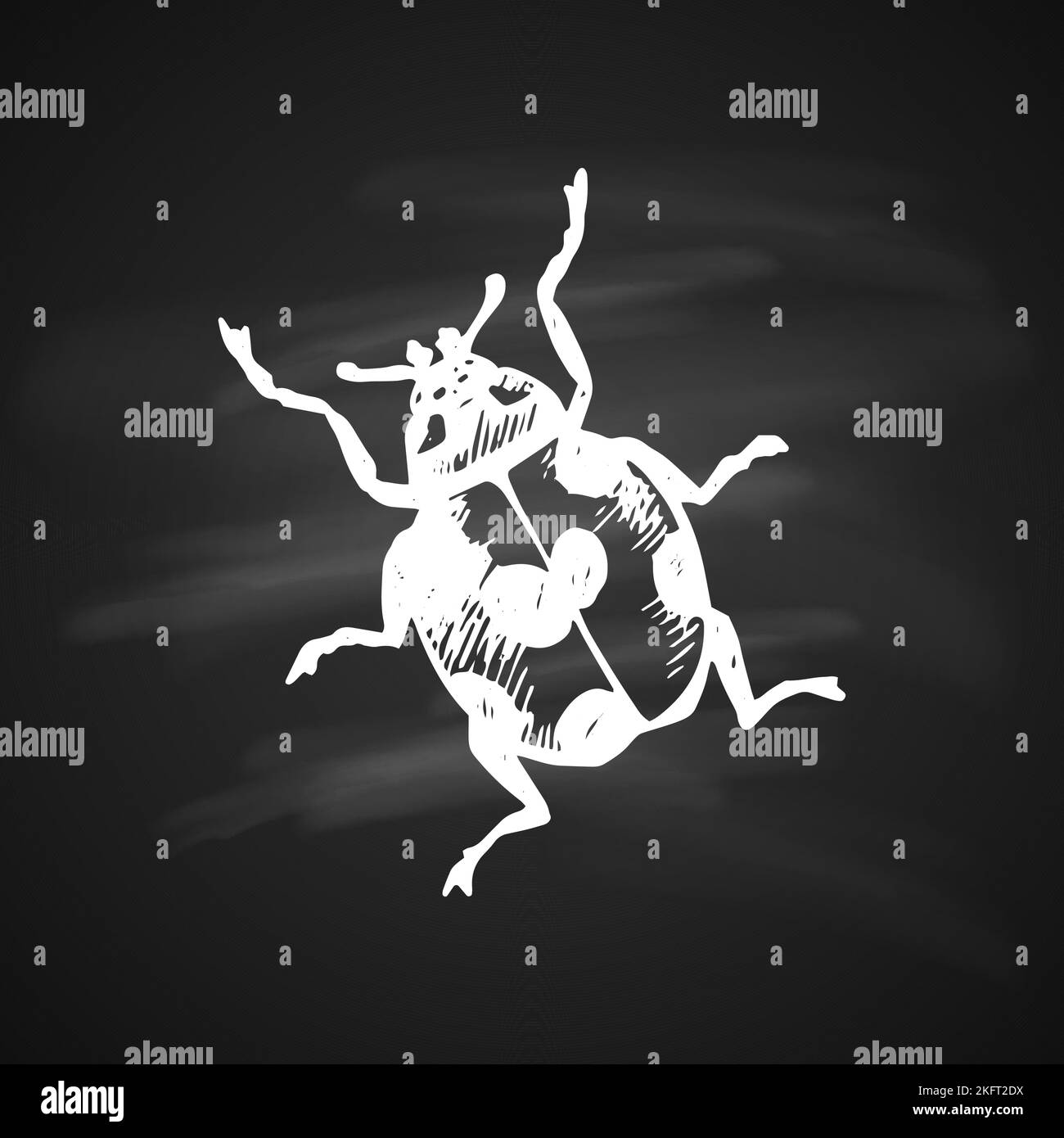 Drawing ladybug on black Black and White Stock Photos & Images - Alamy