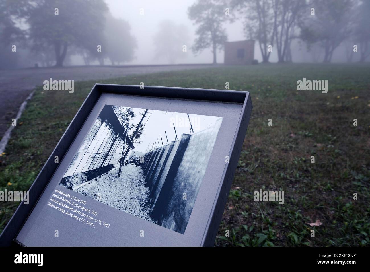 Photo as a memento at the site of the isolation hut in beech forest ...