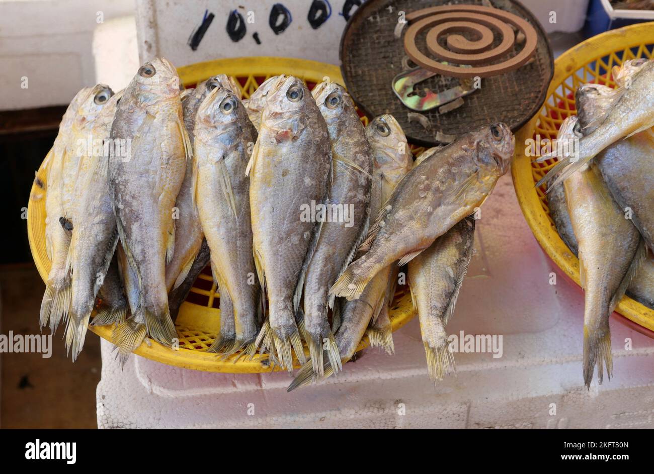 Fish on display for sale in yellow plastic bowl in market Stock Photo ...