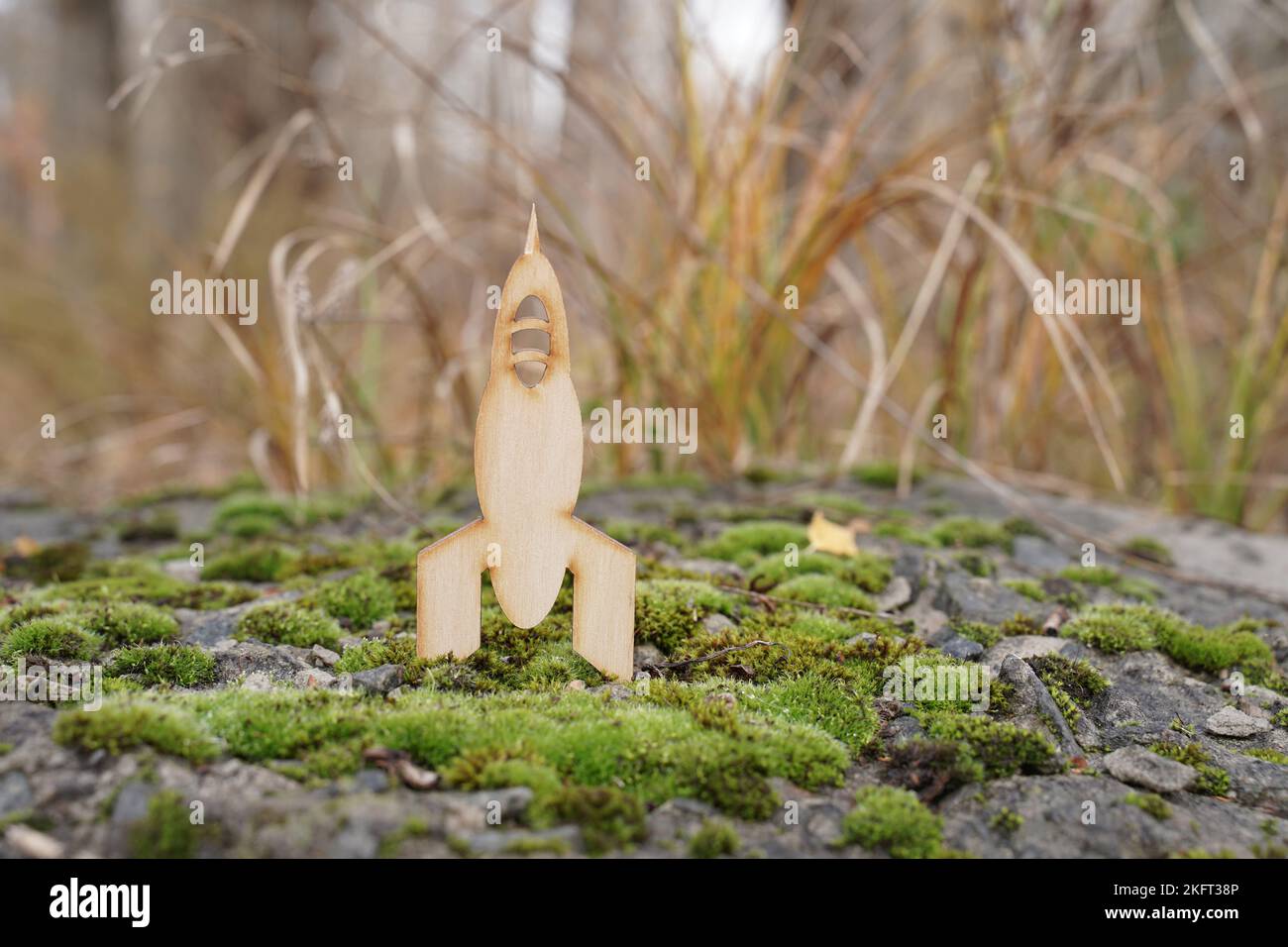 Industry and technology concept. A wooden rocket model stands on a moss ...