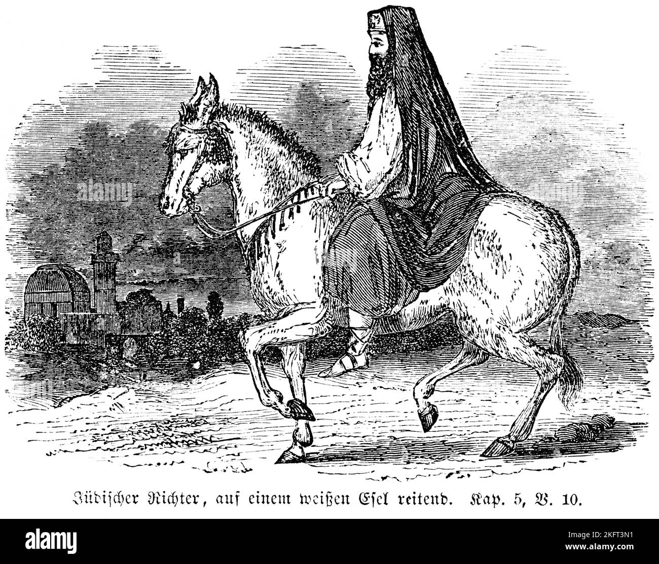 Jewish judge riding on a white donkey, white donkey, female, riding ...