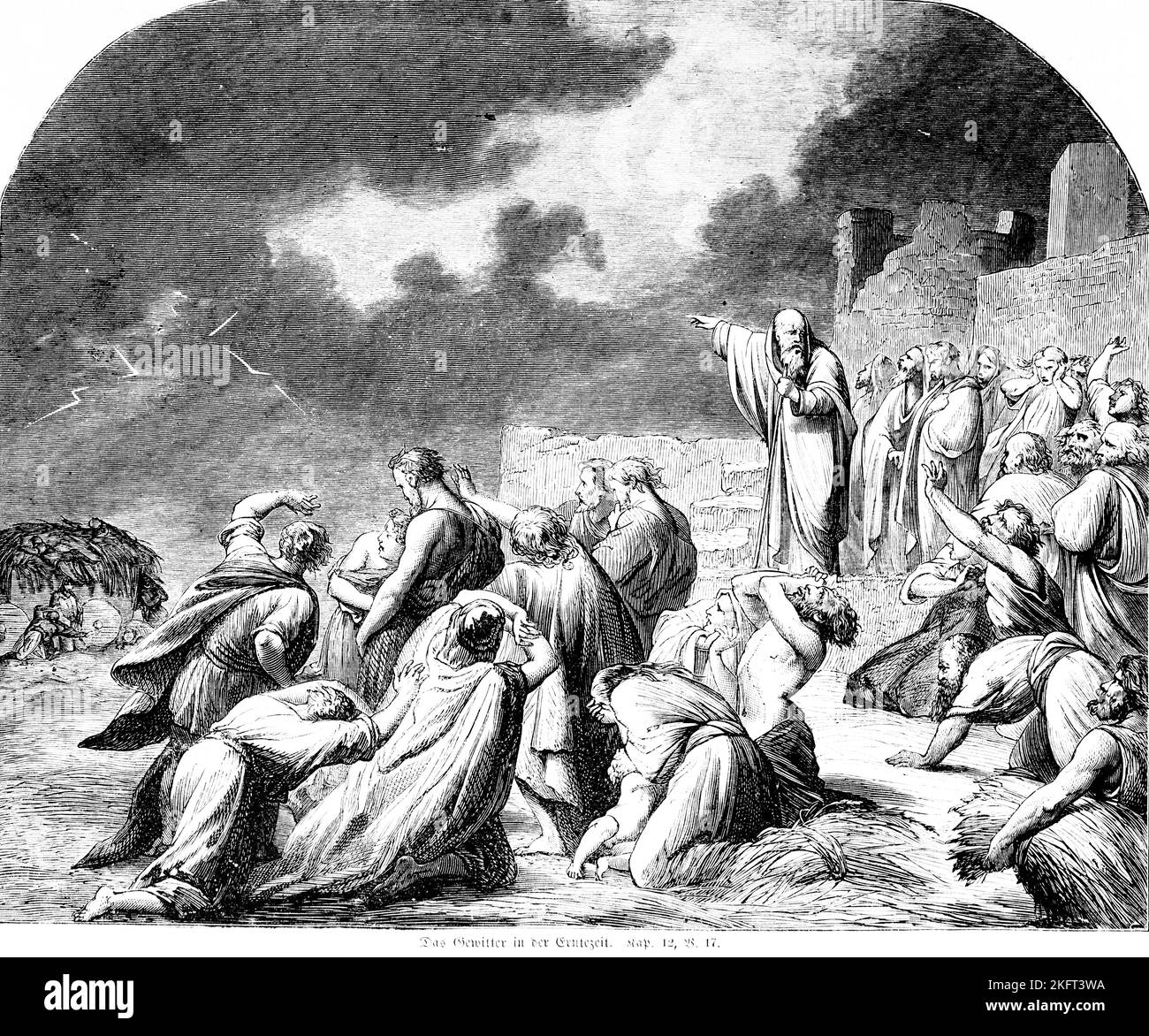 The thunderstorm in harvest time, agriculture, wheat harvest, thunder ...