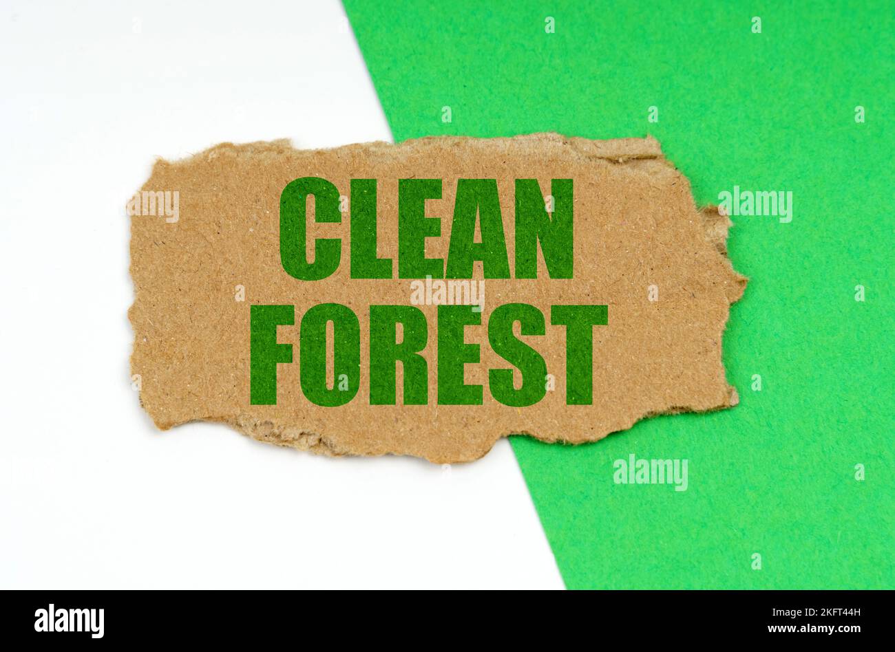 Environmental concept. On a white-green background lies a piece of ...