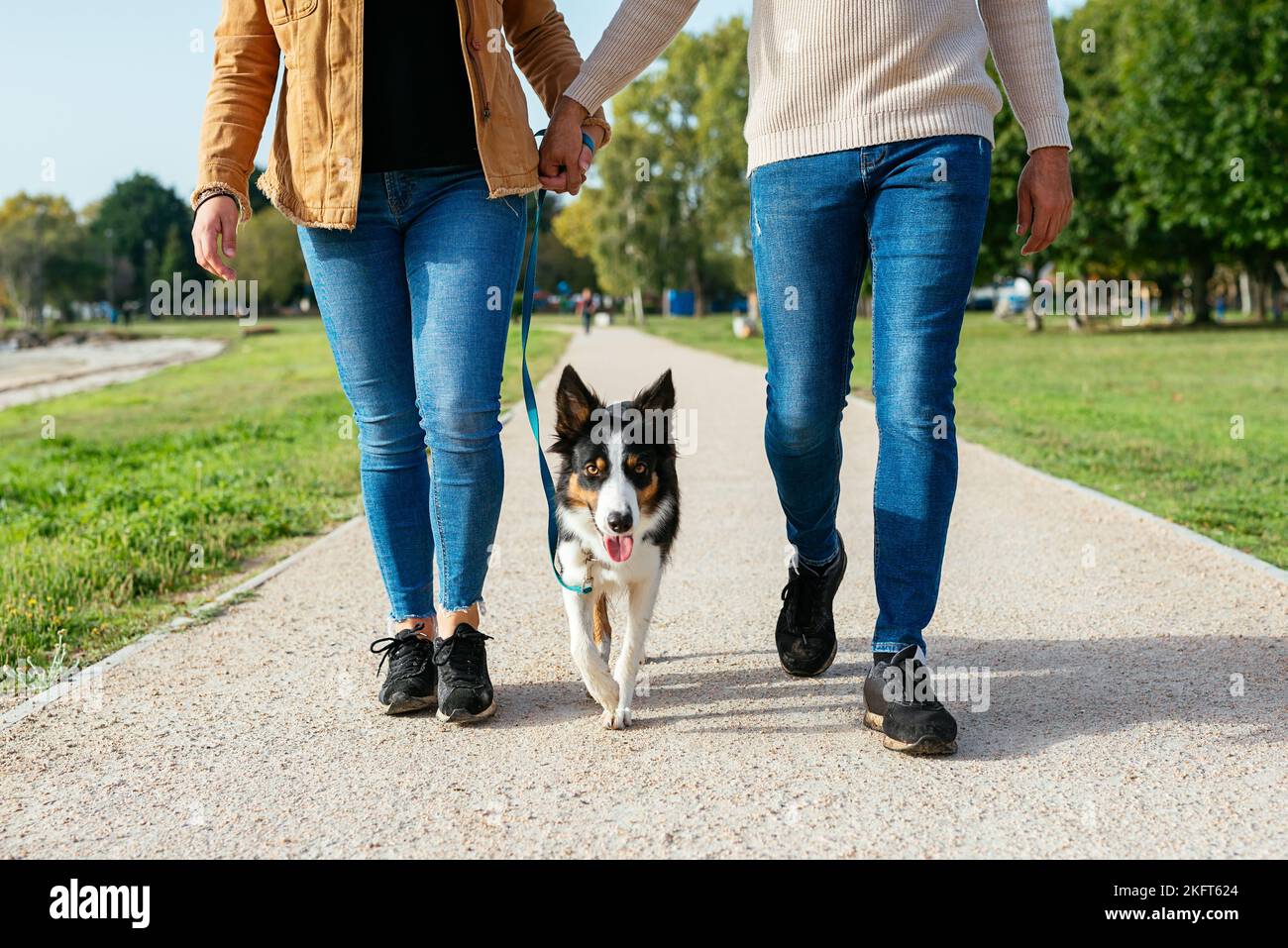 Anonymous couple in casual clothes walking with Border Collie on ...