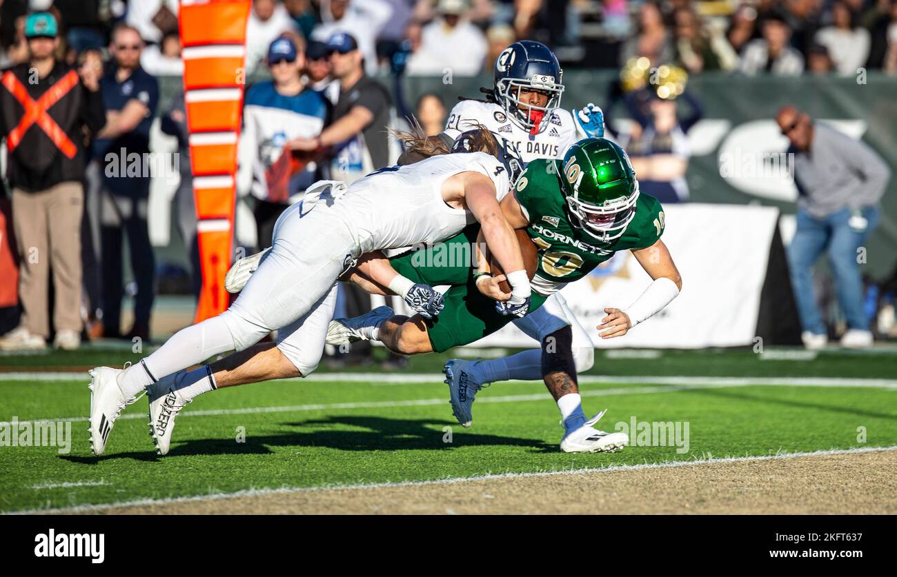 Hornet Stadium. 19th Nov, 2022. U.S.A. Sacramento State quarterback ...