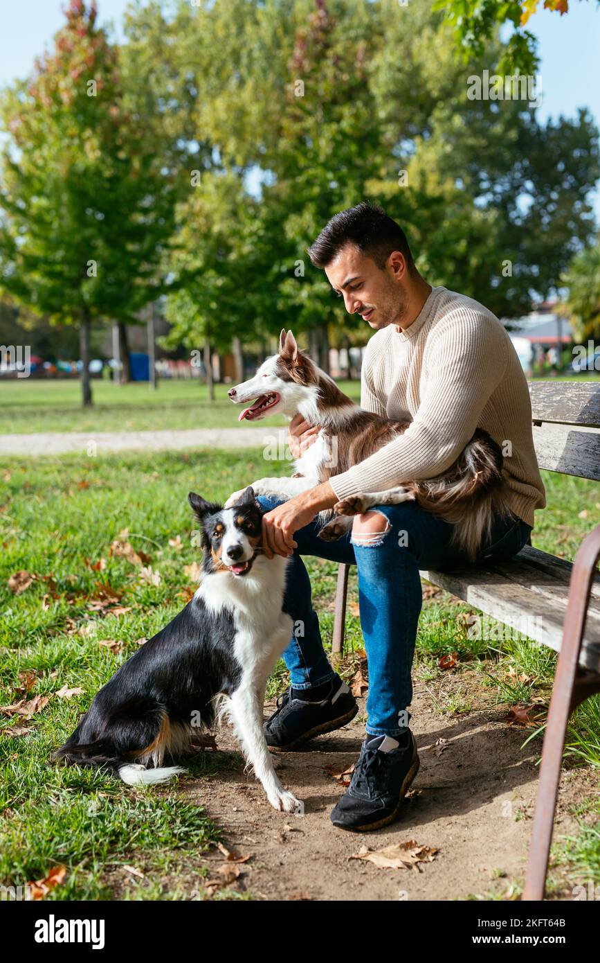 Full body side view of male owner sitting on bench near obedient Border ...
