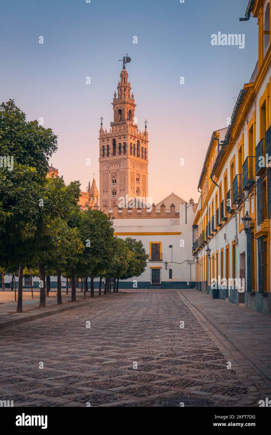 Ancient building of famous old Seville cathedral with tall tower and ...