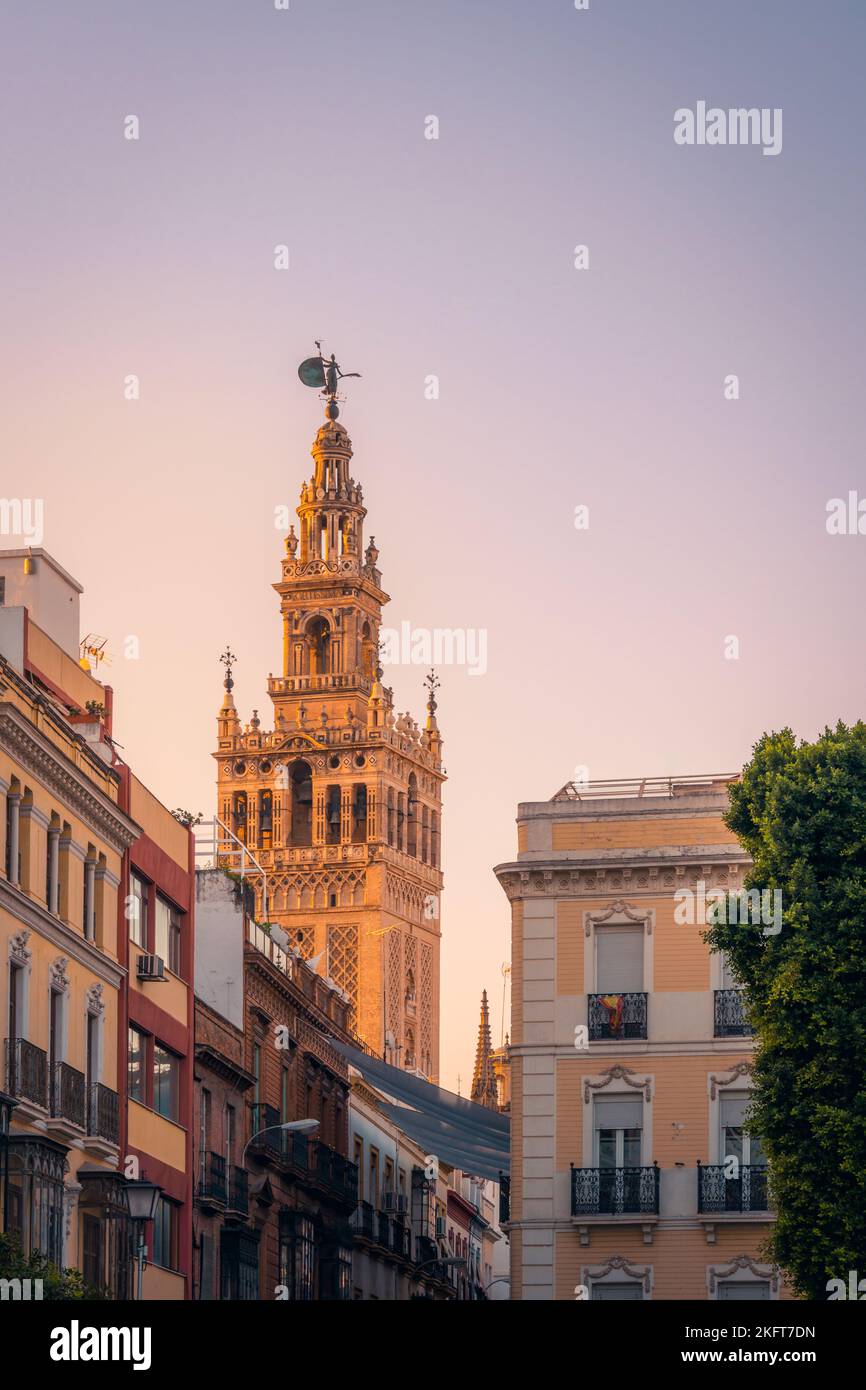 Ancient building of famous old Seville cathedral with tall tower and ...