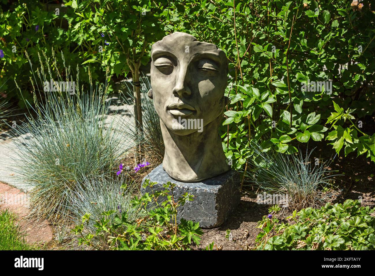 Frauengesicht illustration hi-res stock photography and images - Alamy