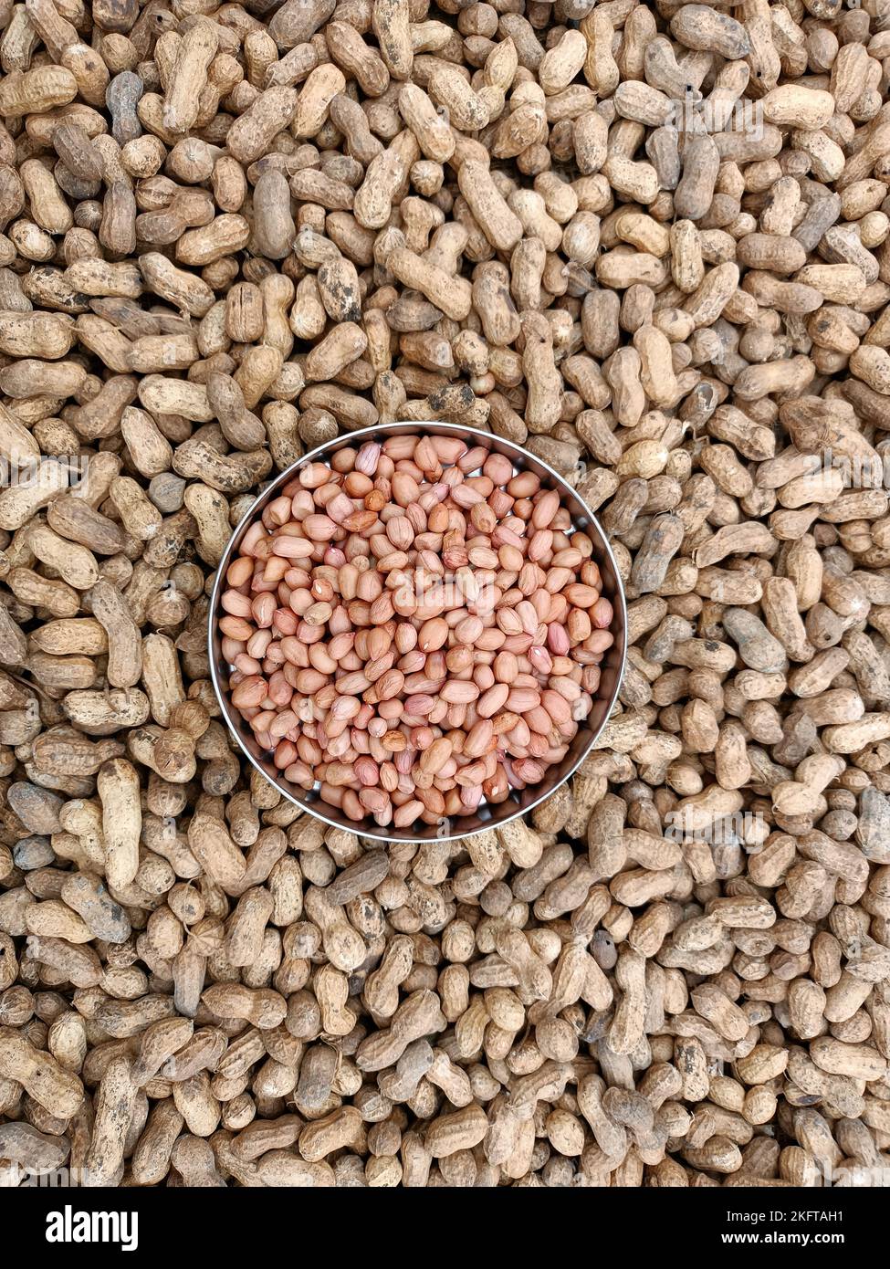 Peanut, groundnut, monkey nut, nut, golden brown colour seeds pods ...