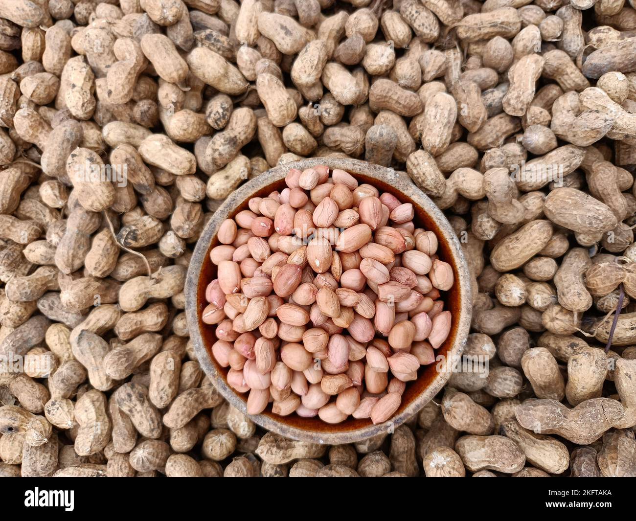 Peanut, groundnut, monkey nut, nut, golden brown colour seeds pods ...