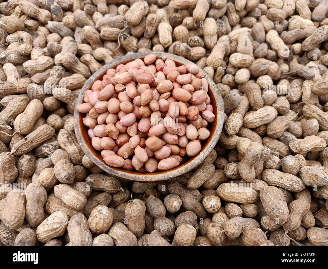 Peanut, groundnut, monkey nut, nut, golden brown colour seeds pods ...