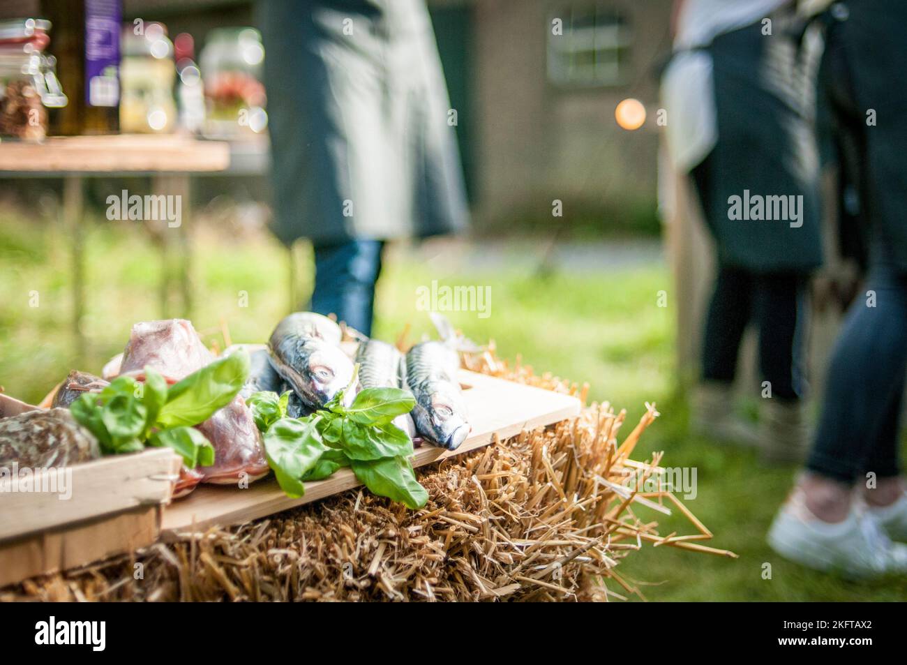 BBQ Outdoor with food preparations. People eating and dining outdoor ...