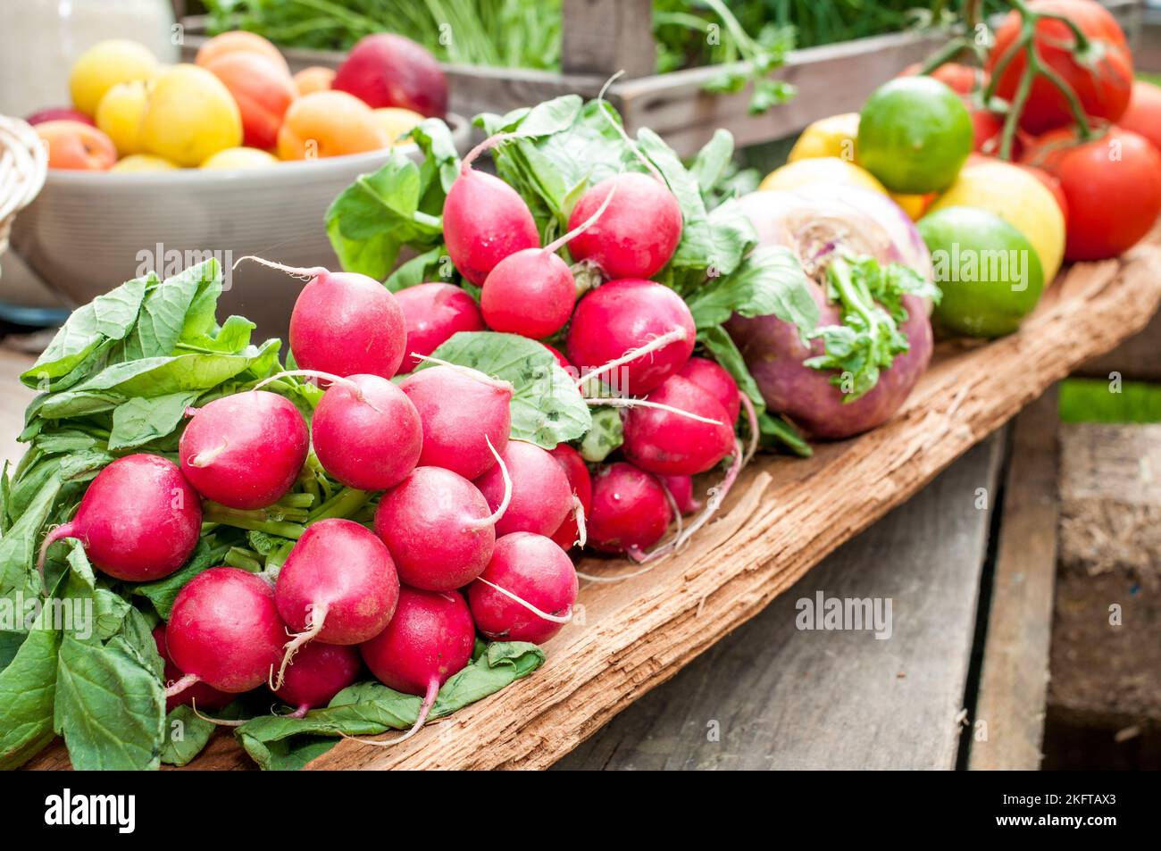 BBQ Outdoor with food preparations. People eating and dining outdoor ...