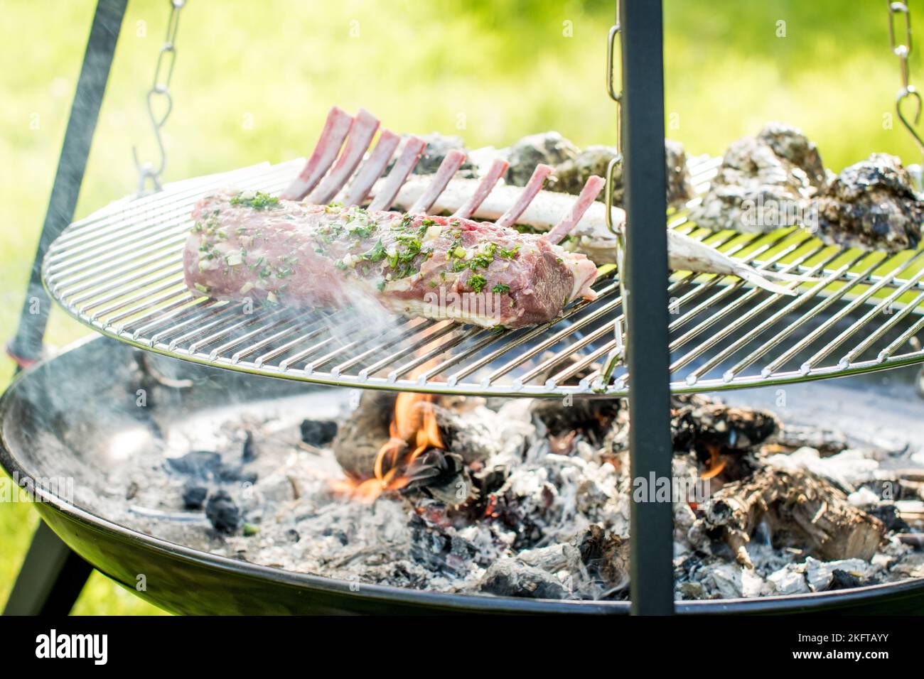 BBQ Outdoor with food preparations. People eating and dining outdoor ...