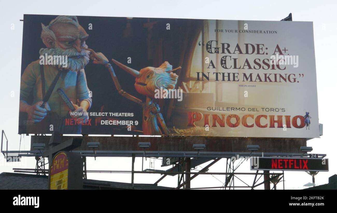 Los Angeles, California, USA 19th November 2021 A general view of ...