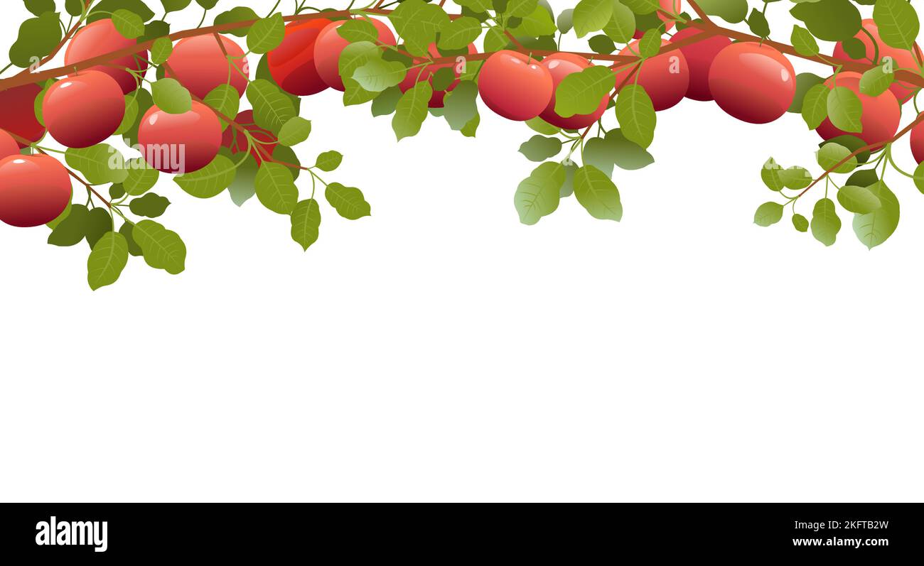 Tree branches apples with ripe fruits on top of picture frame. Garden ...